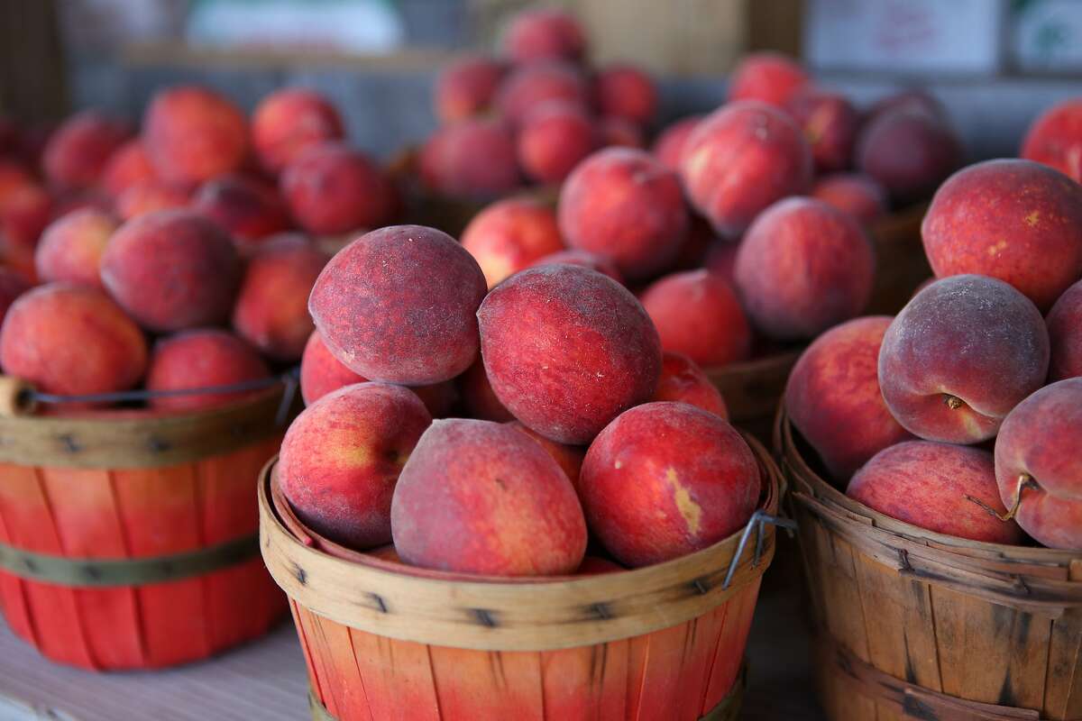 Guide to picking summer fruit in Connecticut