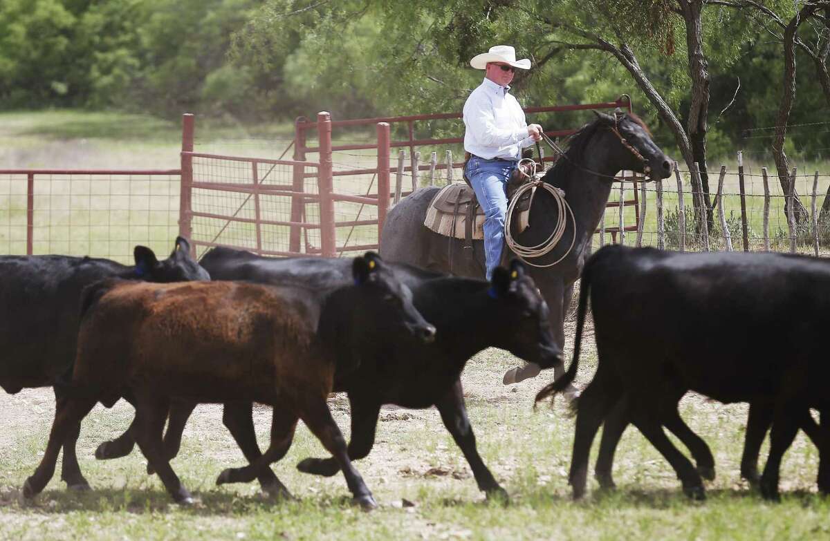 Texas Power Brokers: Southwestern Cattle Raisers Association President ...