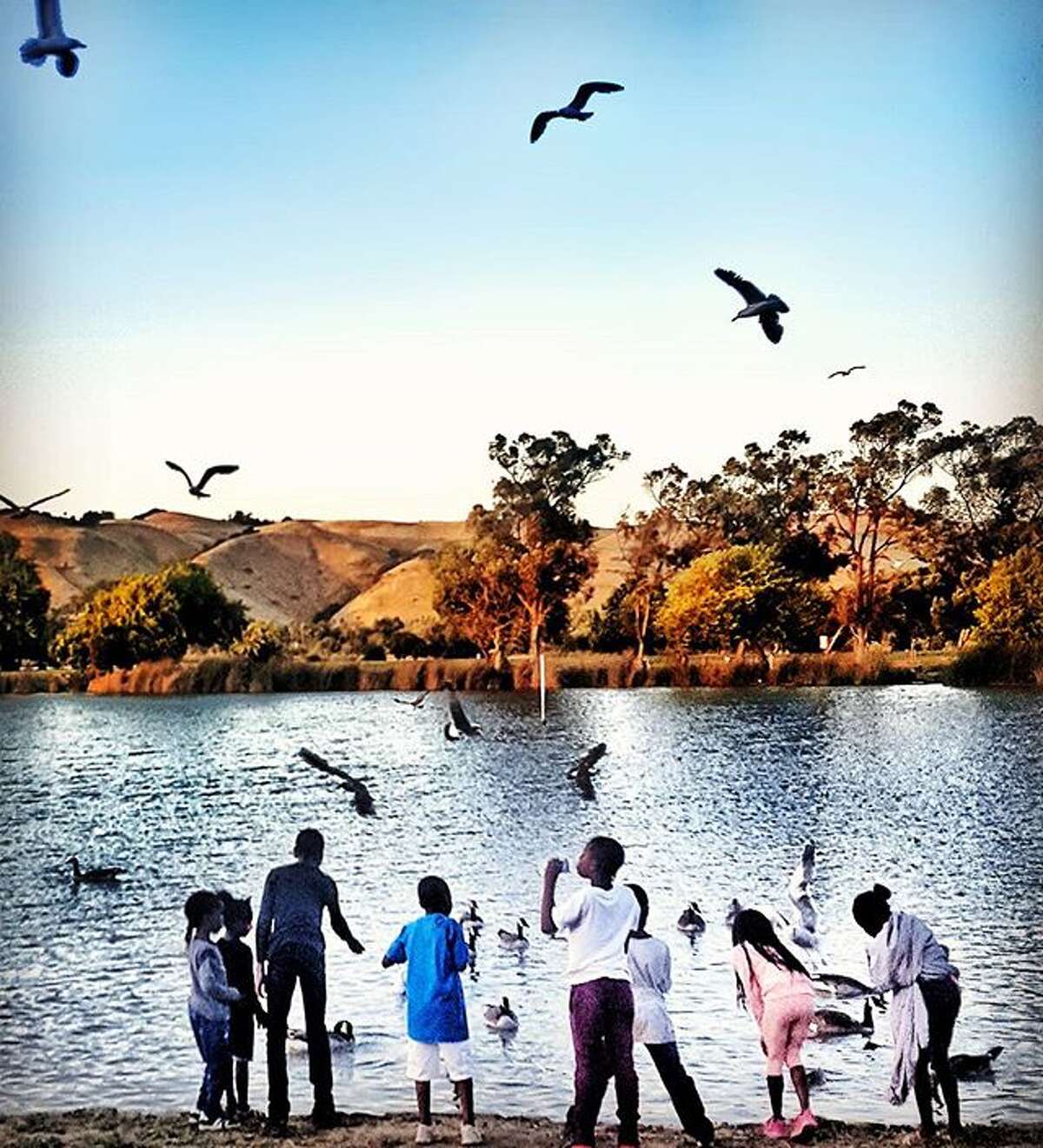 Our favorite Bay Area Instagram photos from May