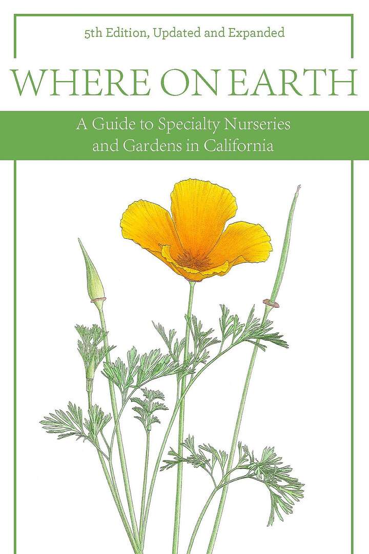 Random Acts of Flowers brings extra kindness to Silicon Valley