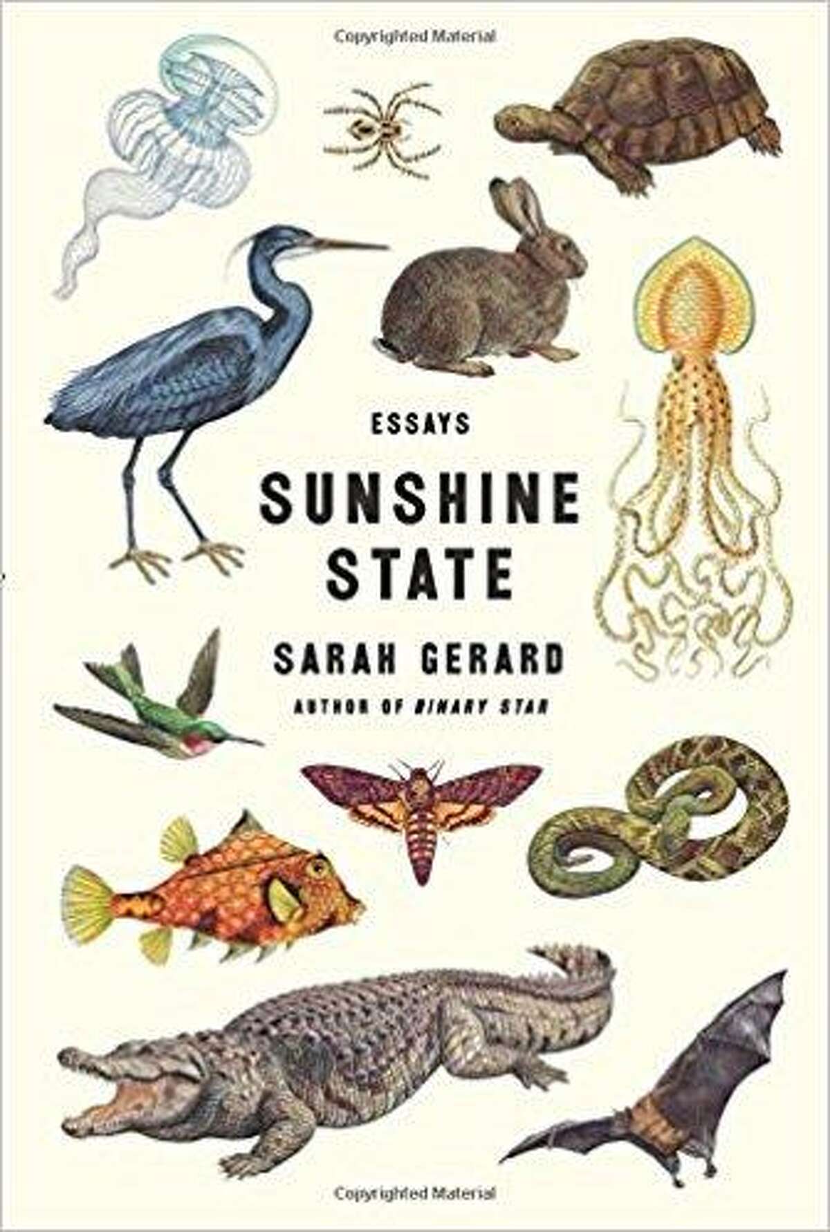 Book review: ‘Sunshine State’ explores Florida beyond stereotypes