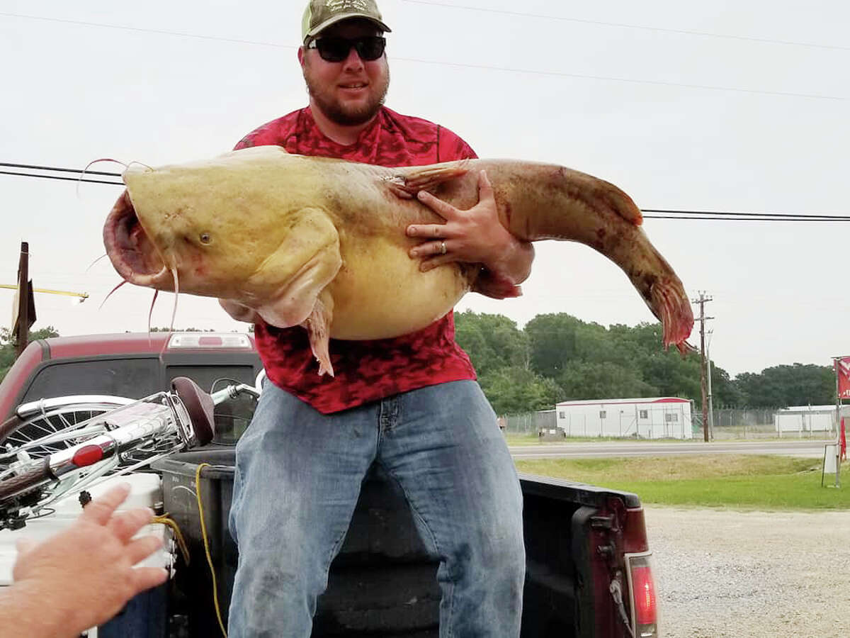 Report: Texas duo's 85-pound catfish sets national noodling record