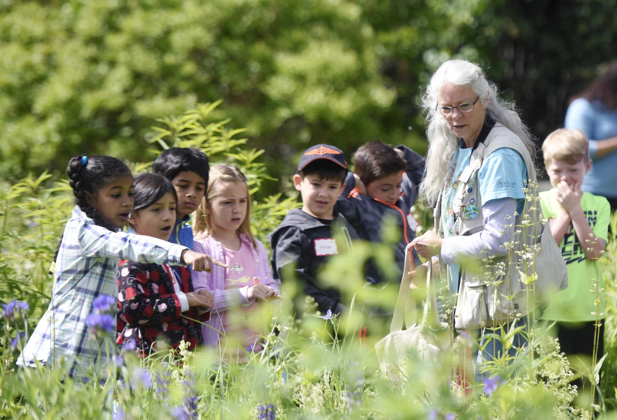 Greenwich’s International School at Dundee gets up close with bugs
