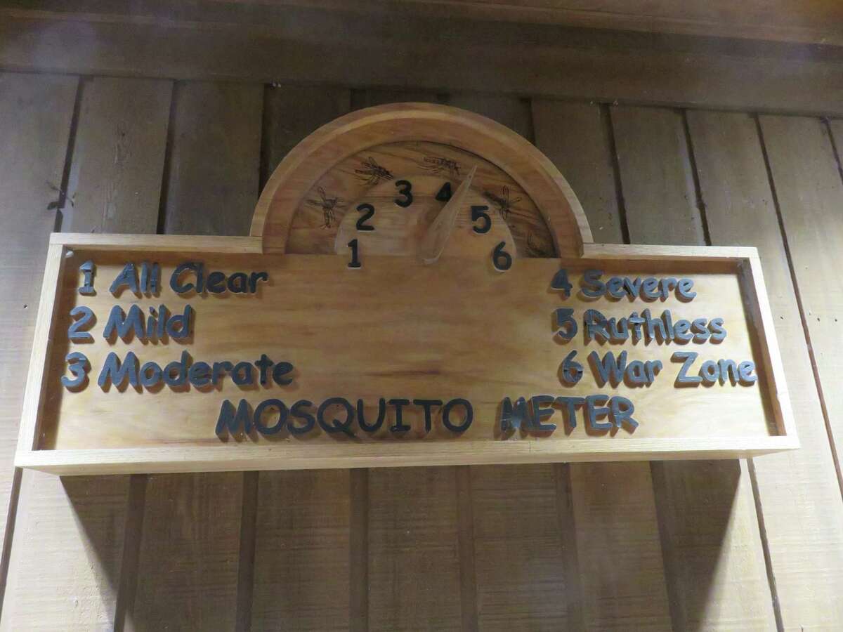 Outdoors: An illuminating visit to Congaree National Park