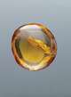 99-million-year-old bird trapped in amber is near-perfectly preserved