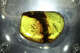 99-million-year-old bird trapped in amber is near-perfectly preserved