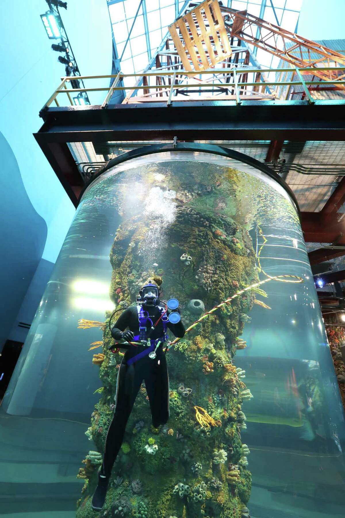 Renovated Aquarium Pyramid at Moody Gardens brings sea change to Galveston