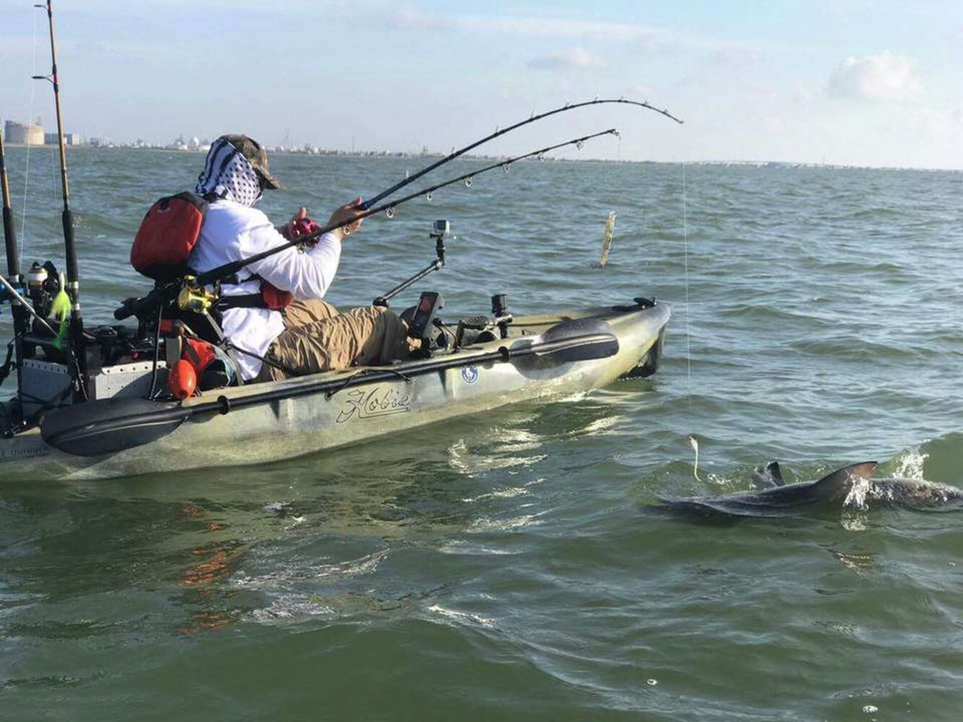 Video: Shark chomps a Texas fisherman’s catch off Padre Island