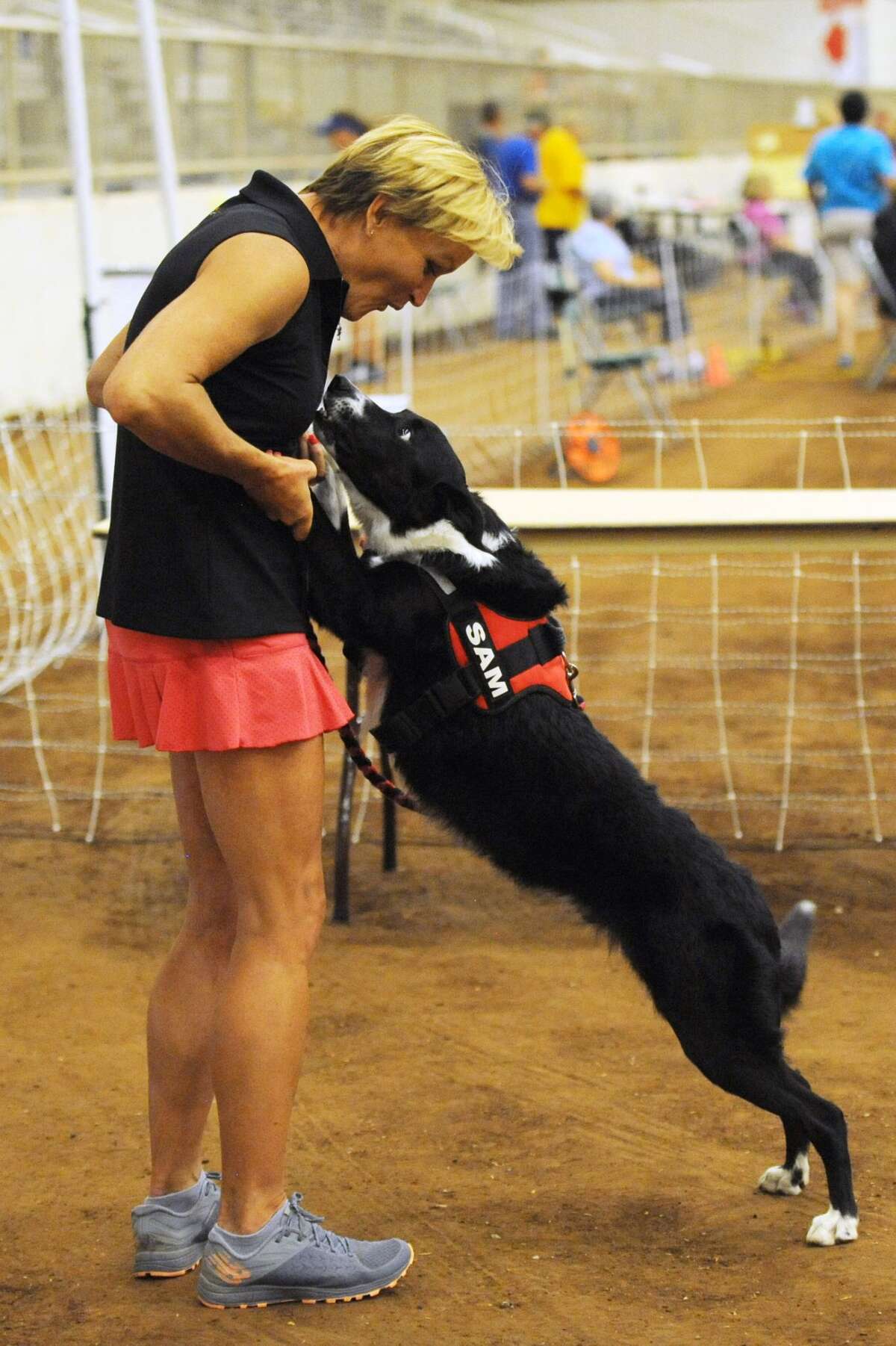 American Kennel Club agility trials