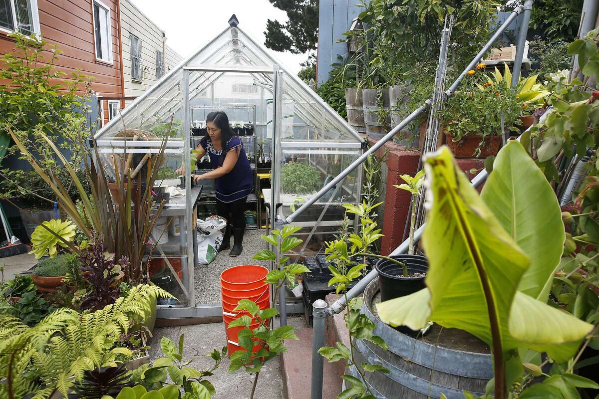 The Regulars: Family of four farms in urban spaces