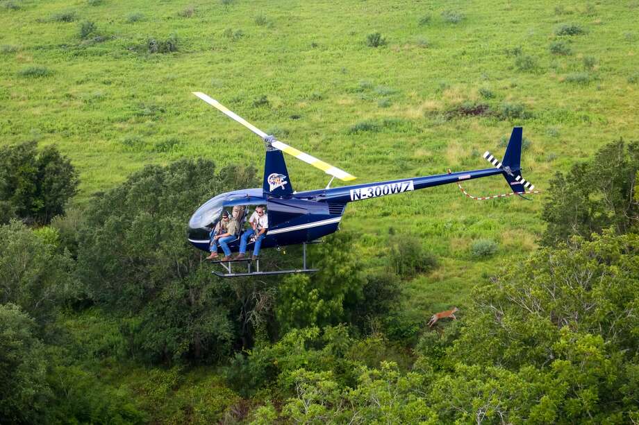 For $35,000, Texas company lets you gun down feral hogs with an M16 ...