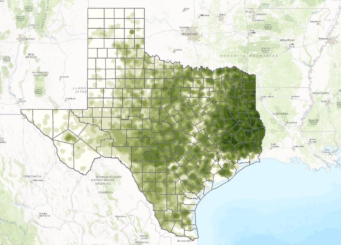 Do you know where West Texas starts?