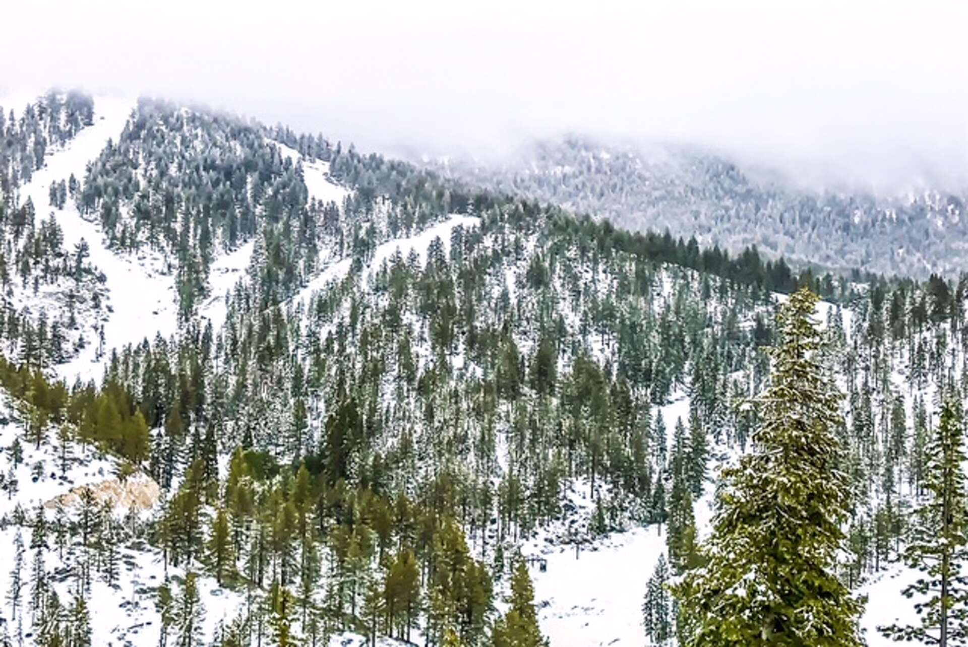 Winter in June? Rare fresh powder falls at Lake Tahoe