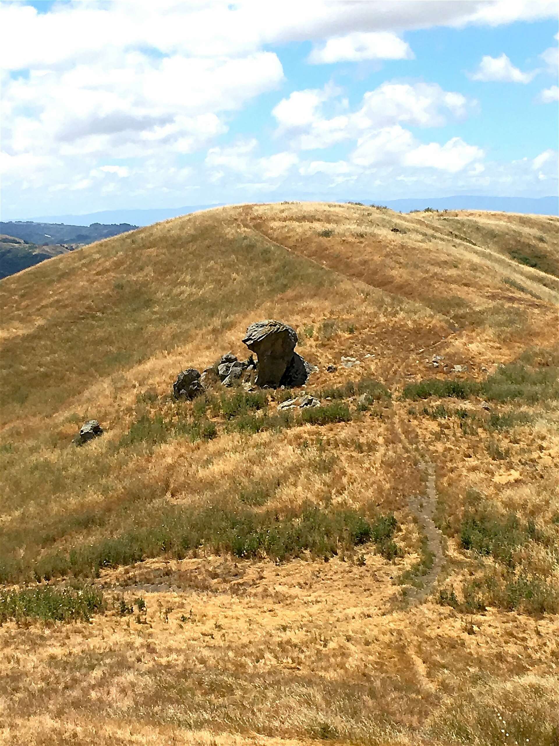 Bird head-like rock formation found in Las Trampas Wilderness