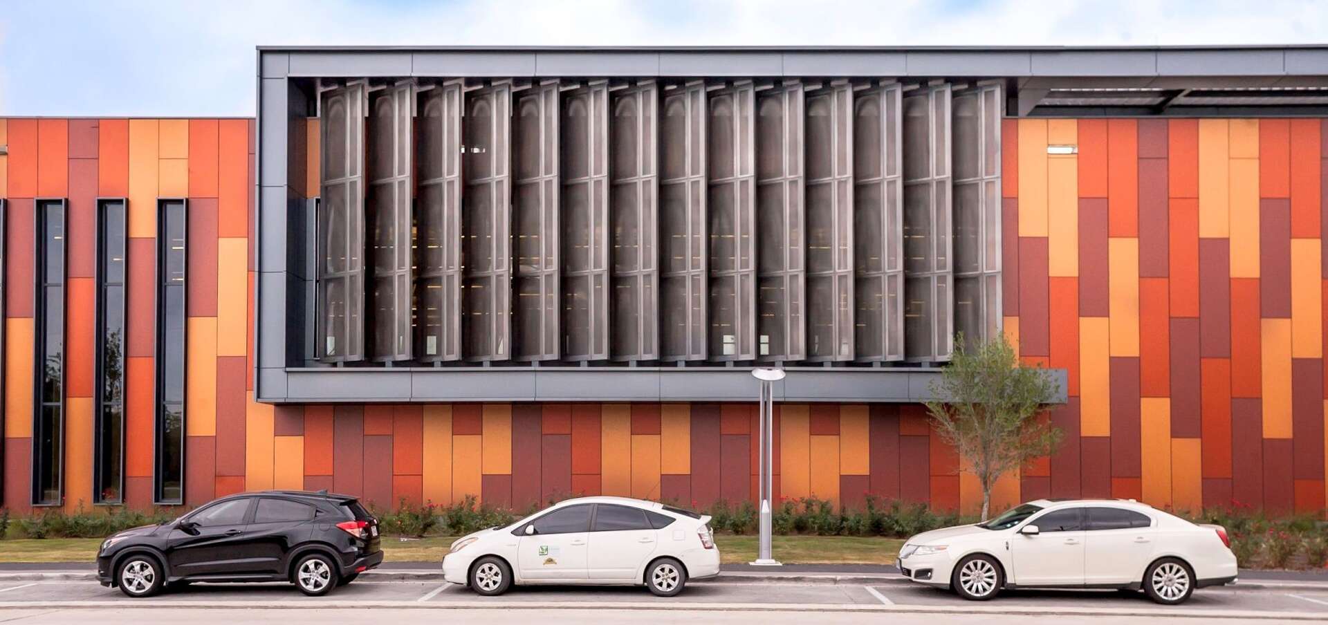 Emancipation Park was never dead. But now it has been reborn.