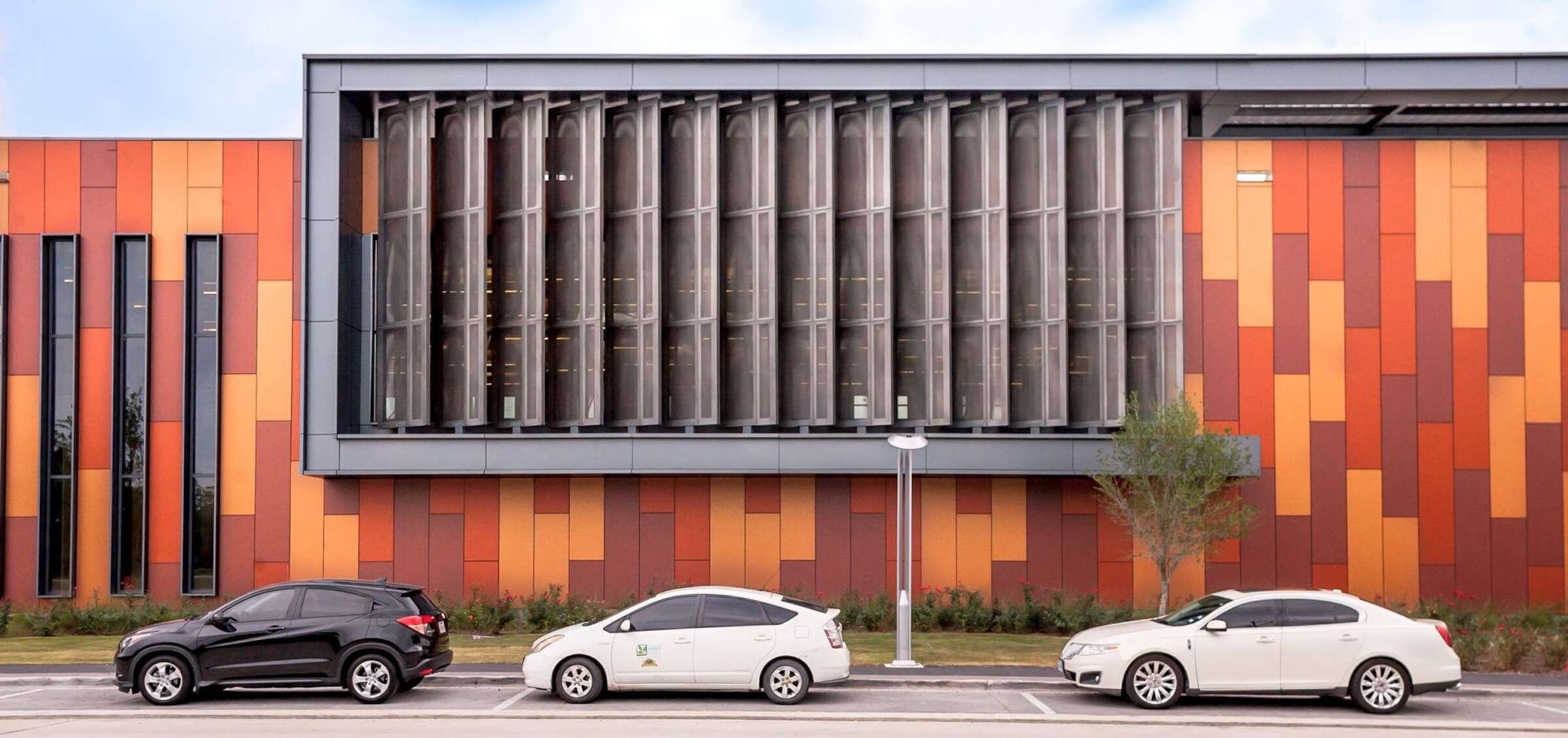 Emancipation Park was never dead. But now it has been reborn.