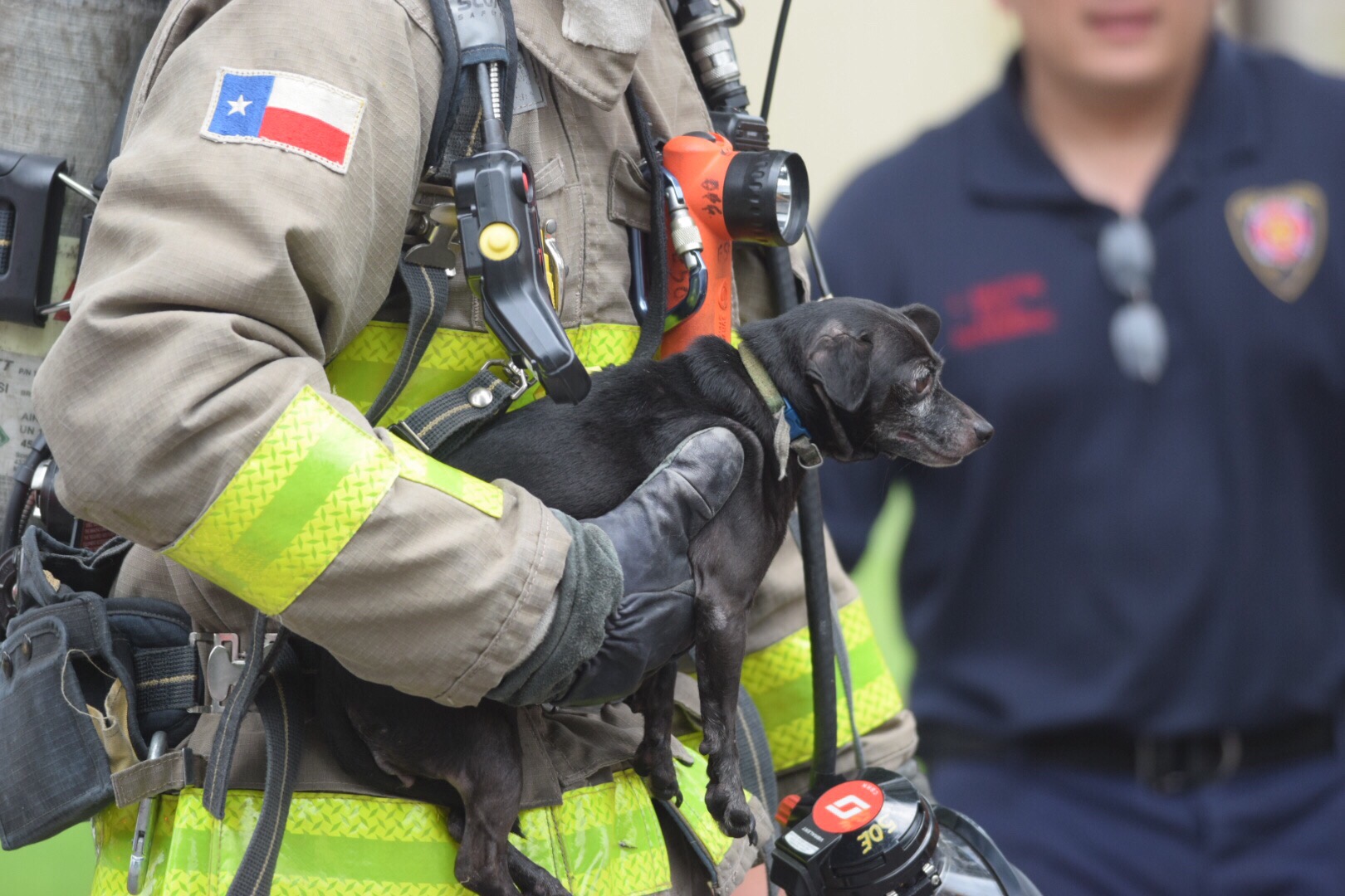 Photos: Firefighters save dog from Southwest Side house fire