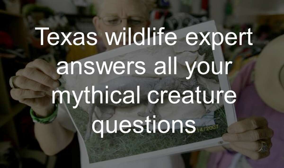 Did Texas park officials release photos of Bigfoot tracks?