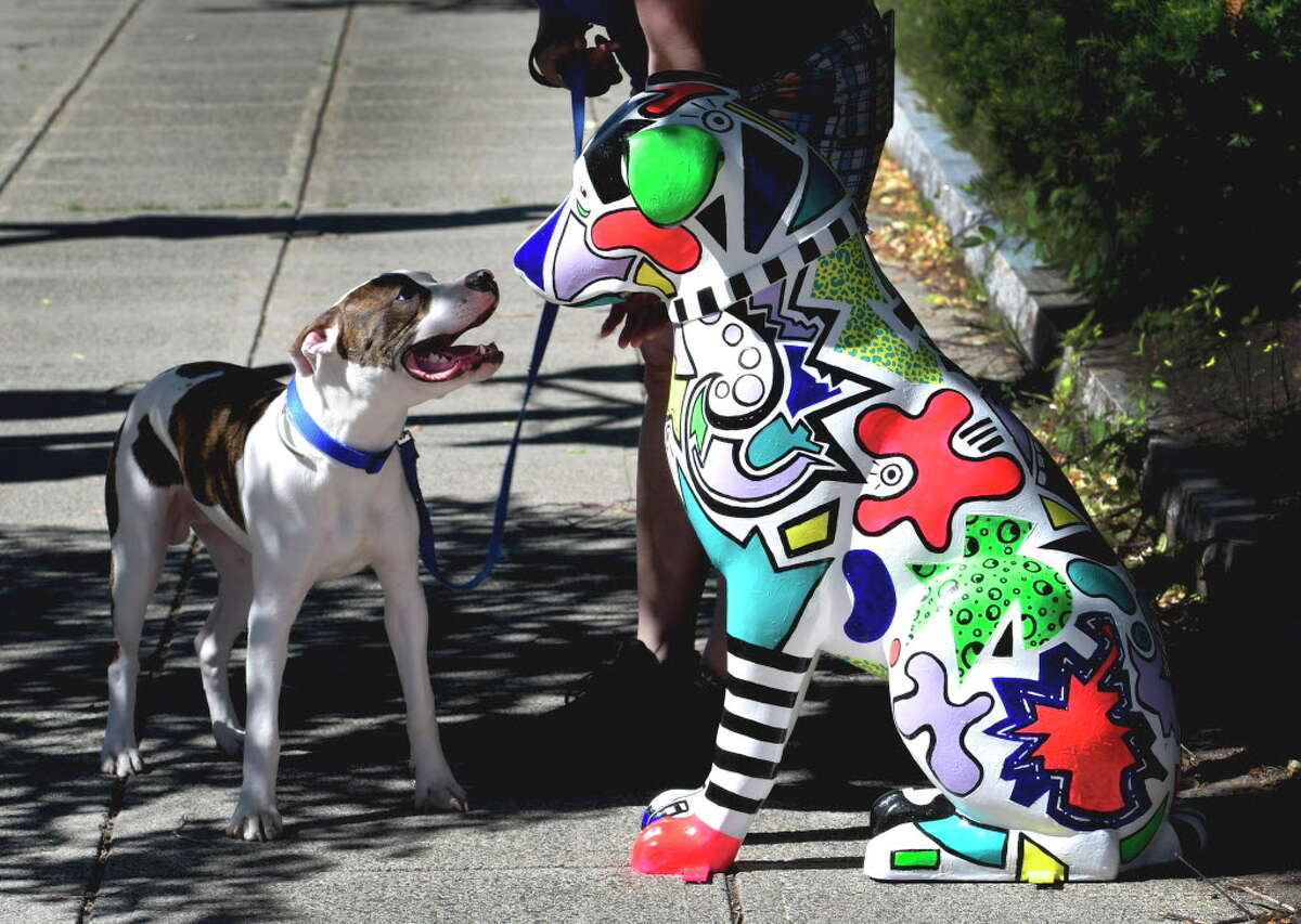 Albany summer street exhibit features Nipper statues