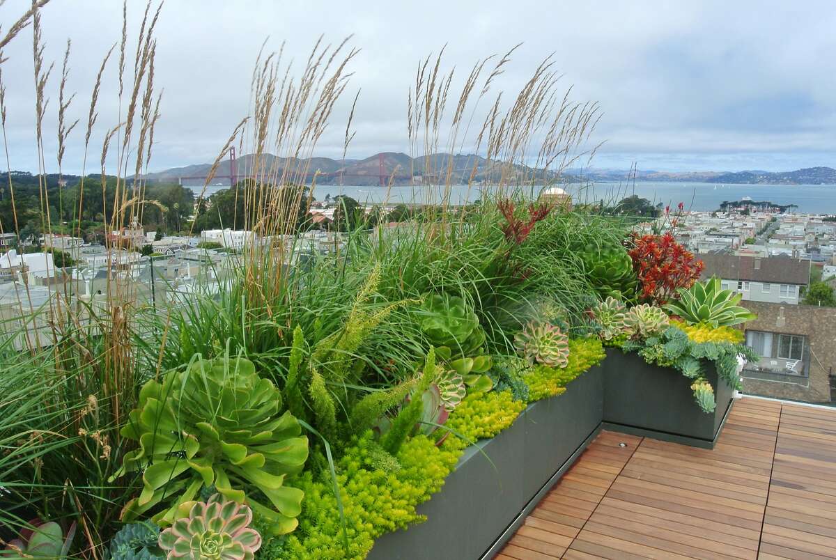 San Francisco rooftop terraces that rise above it all