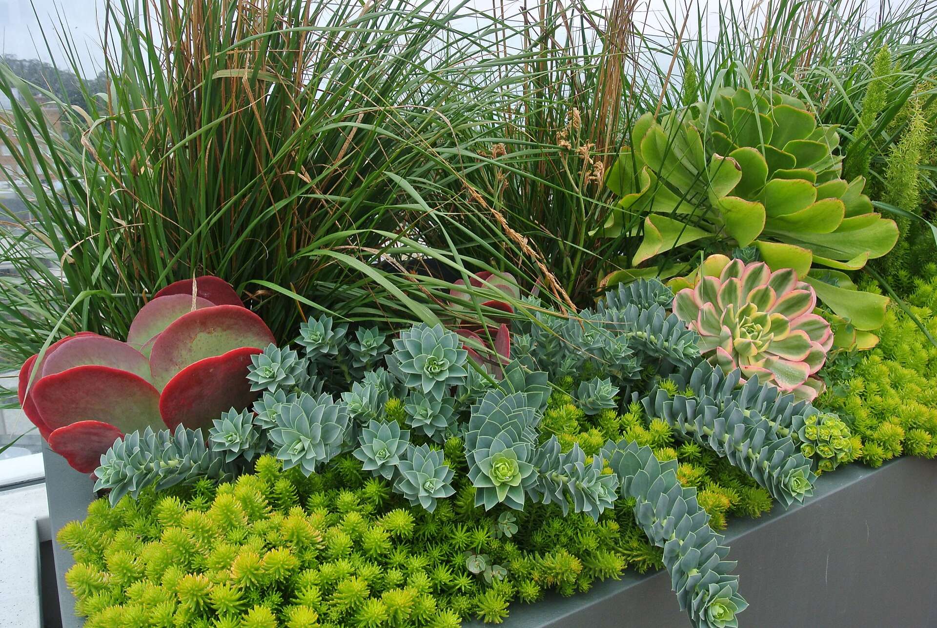 San Francisco rooftop terraces that rise above it all