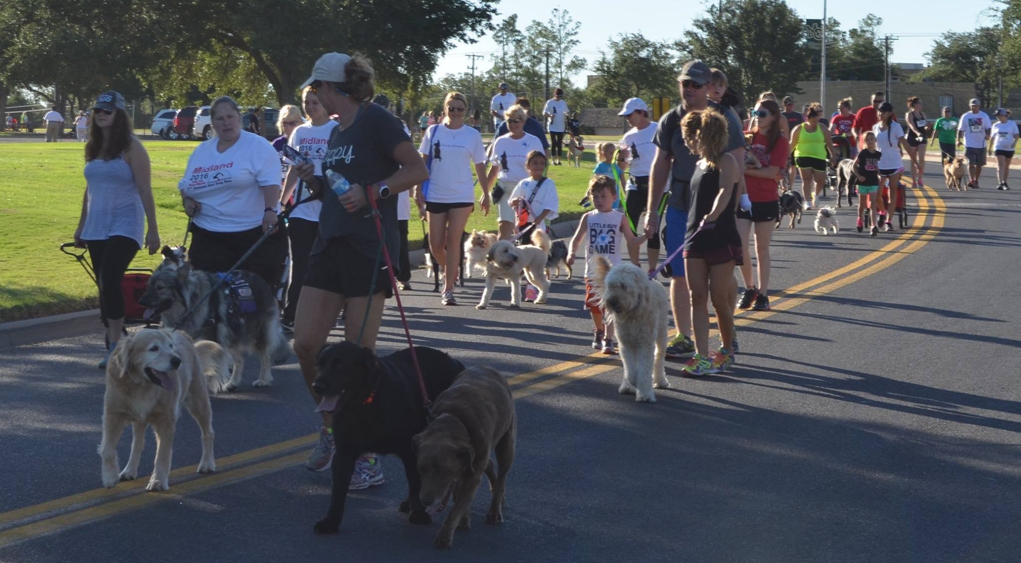 Midland Humane Coalition’s Hot Dog Run continues to grow