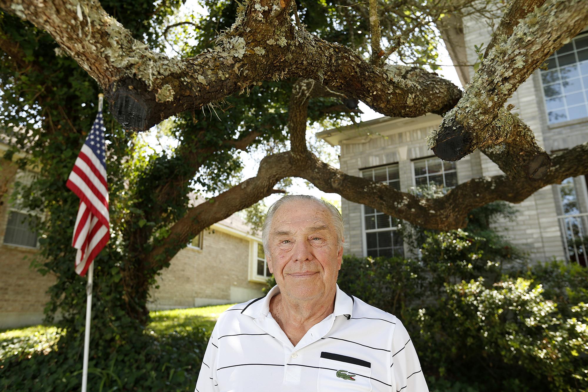 City tree protections on the chopping block in special session