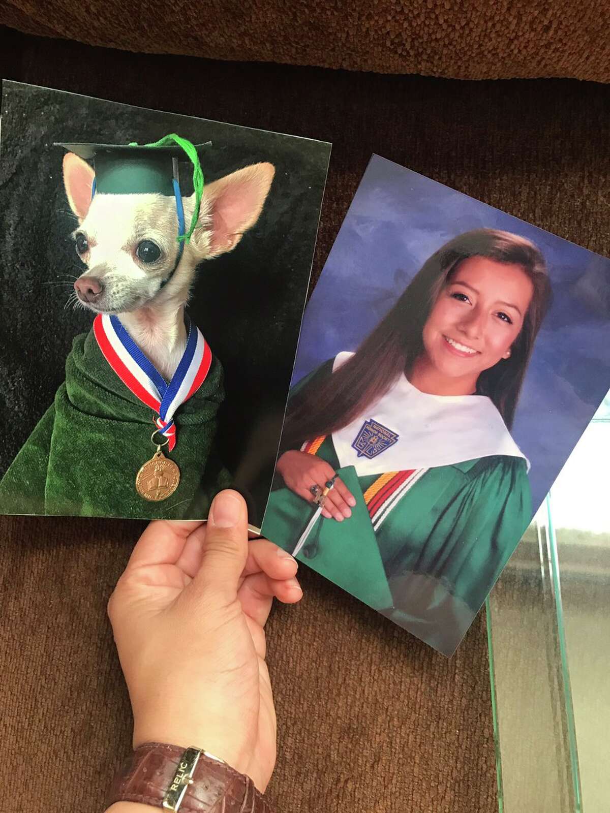 Watch: Texas girl recreates family photos with her Chihuahua