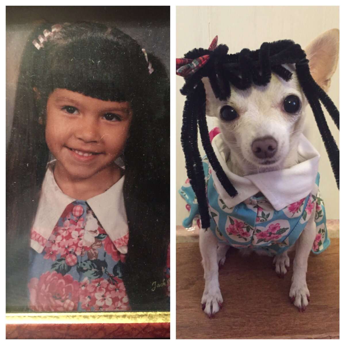 Watch: Texas girl recreates family photos with her Chihuahua