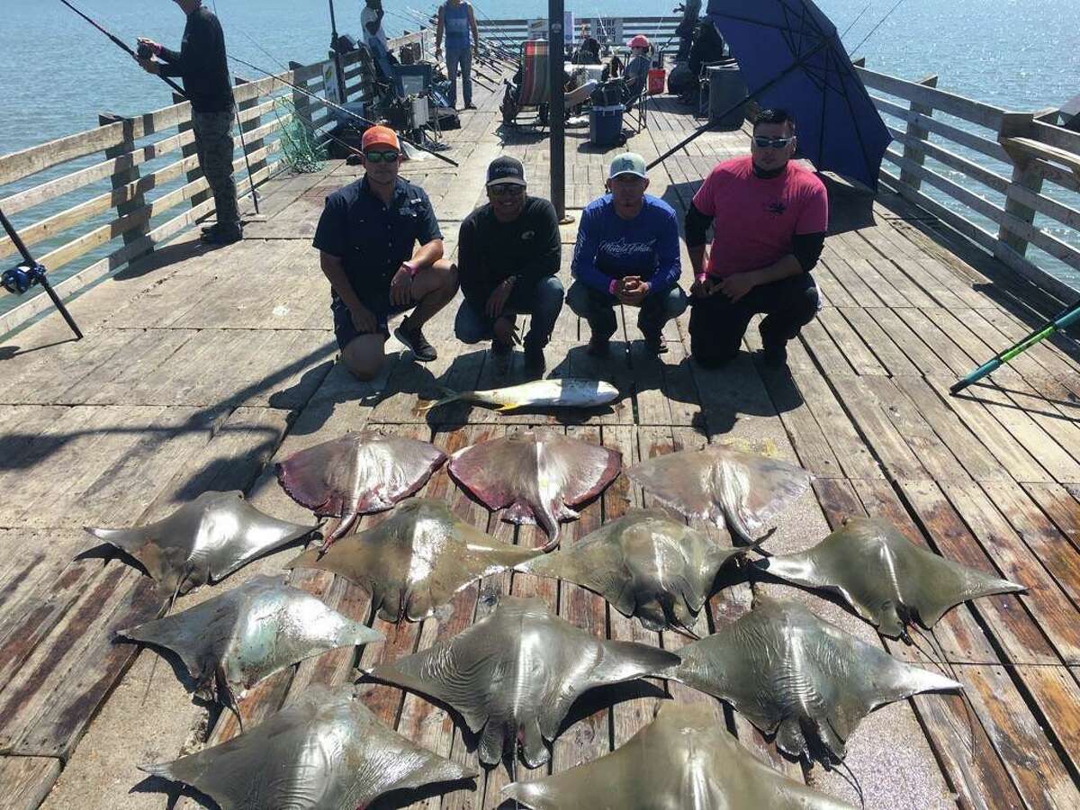 Anglers snare sharks, other big catches at Galveston Fishing Pier