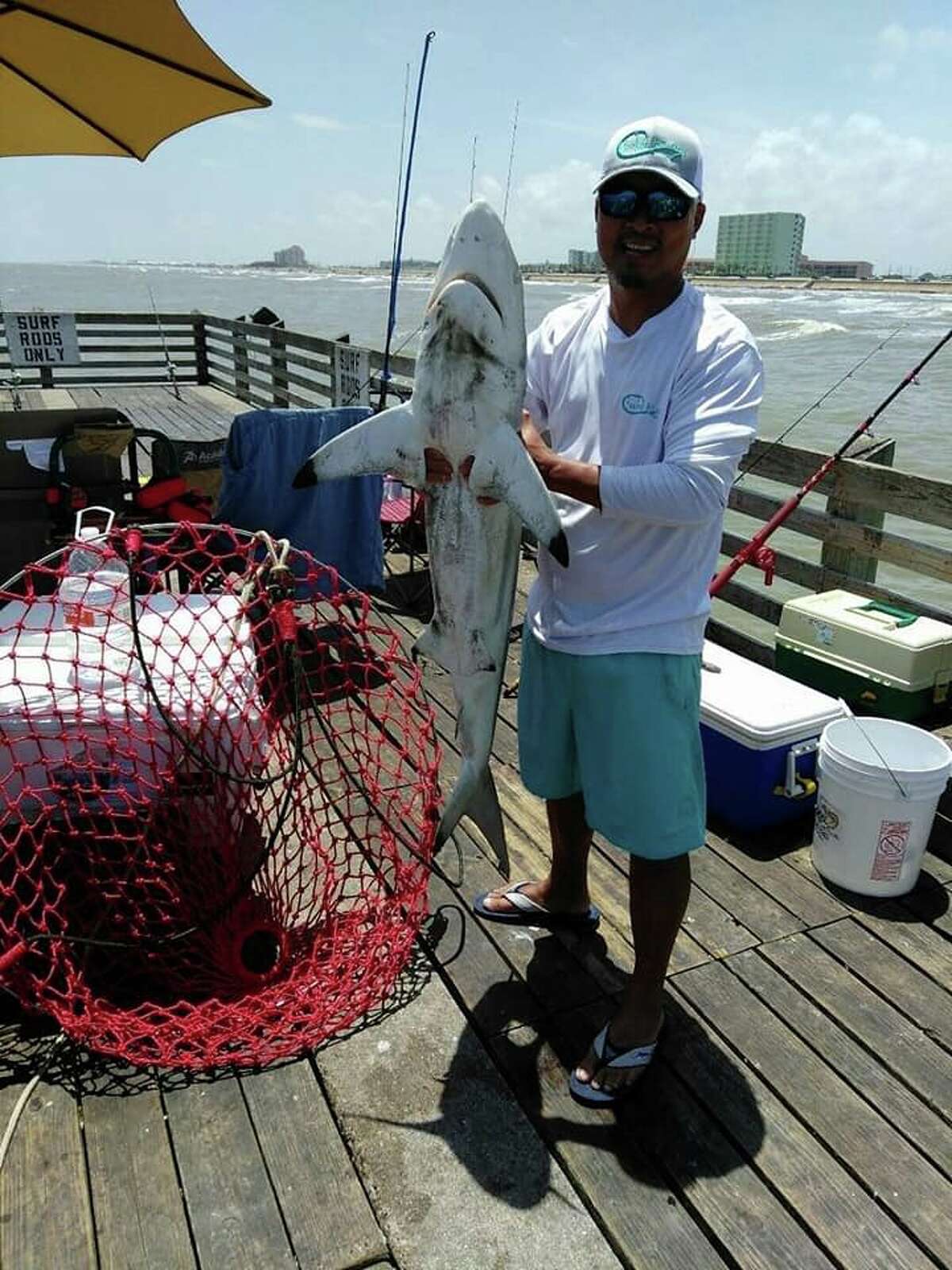 Anglers snare sharks, other big catches at Galveston Fishing Pier