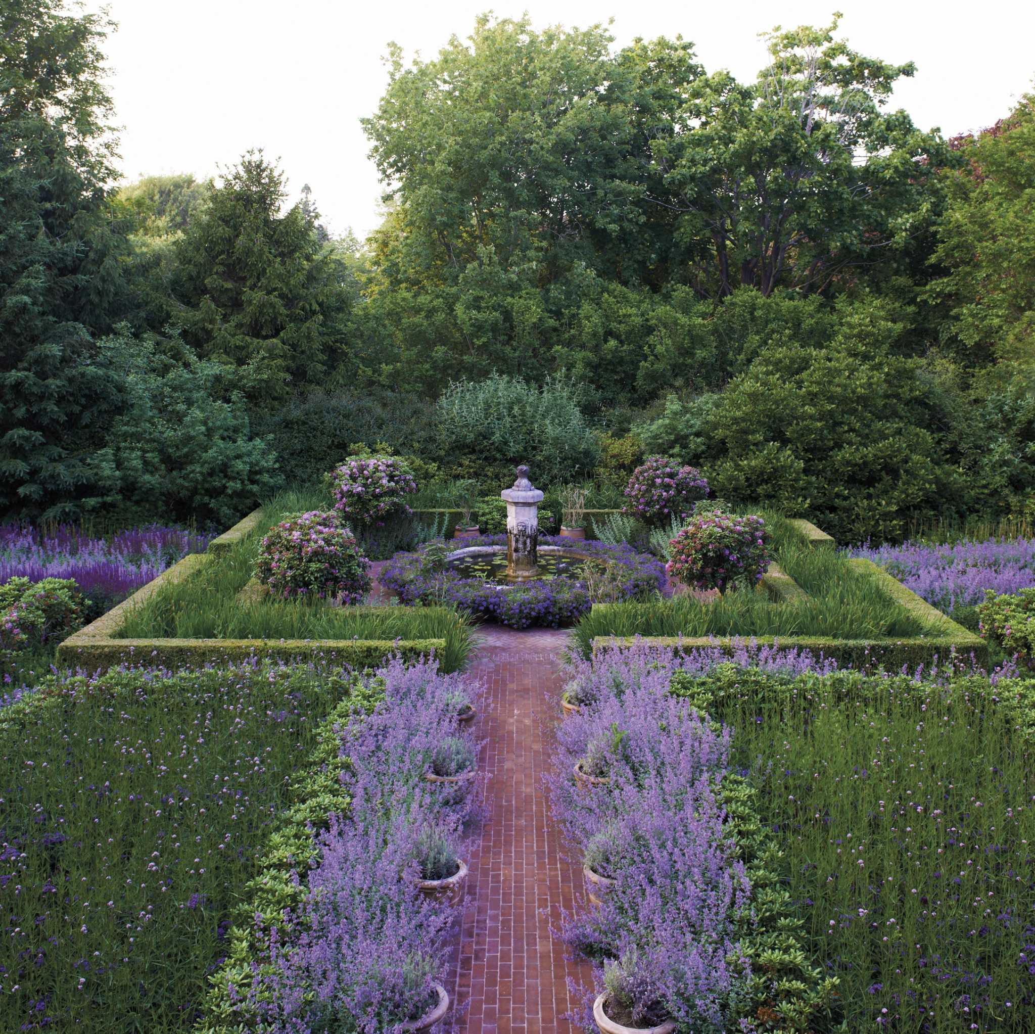 Color-block gardens deliver drama, artistry in saturated hues
