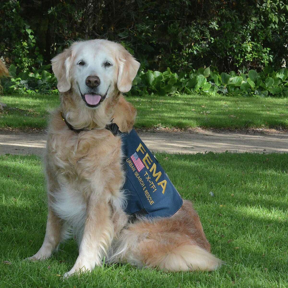 Military service dogs to be honored at Fallen Warriors Memorial