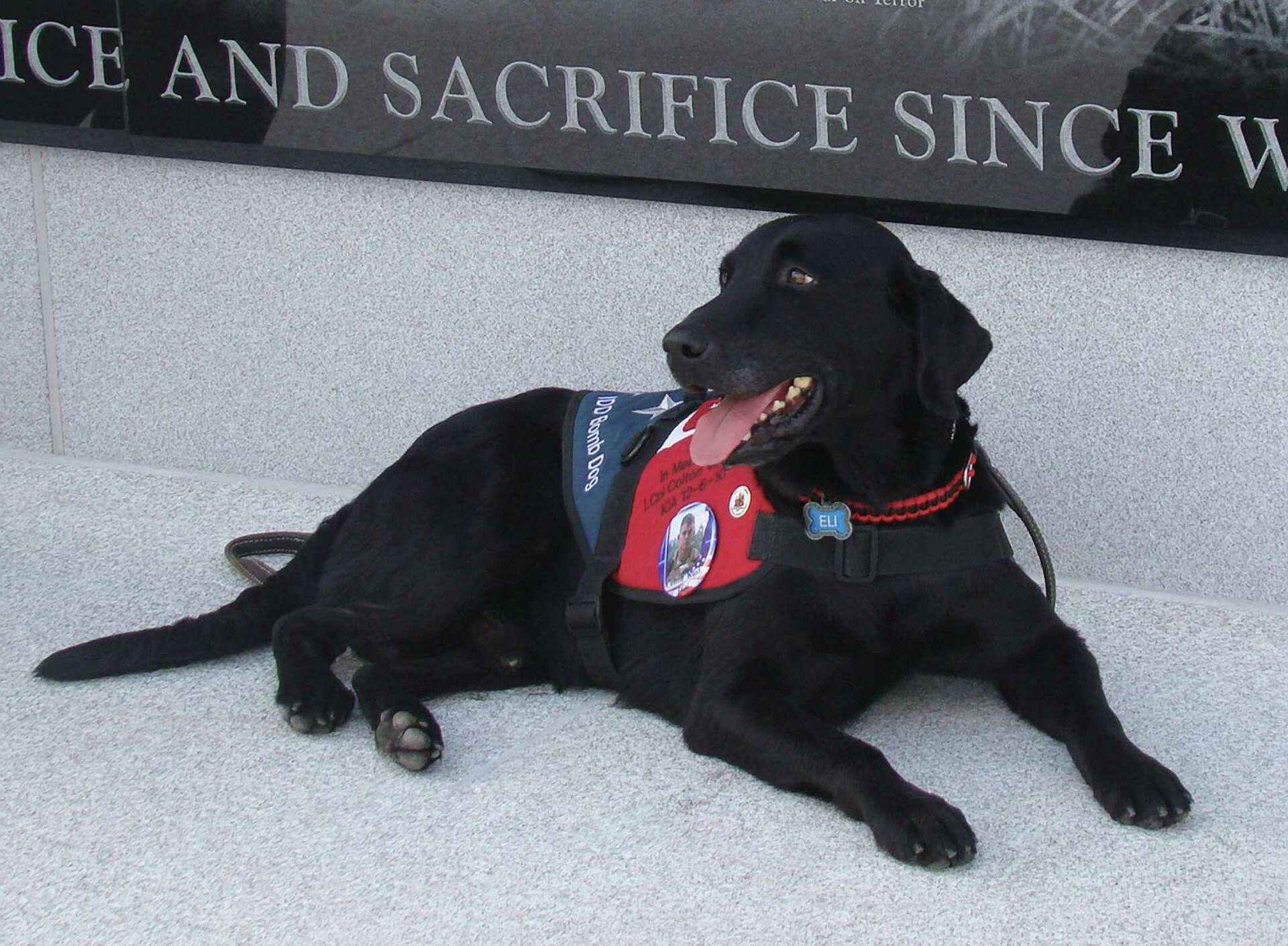 Military service dogs to be honored at Fallen Warriors Memorial