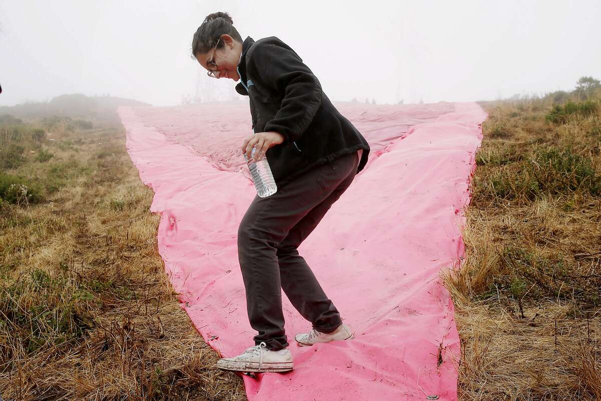 Pink triangle rises again as symbol of pride for LGBT community