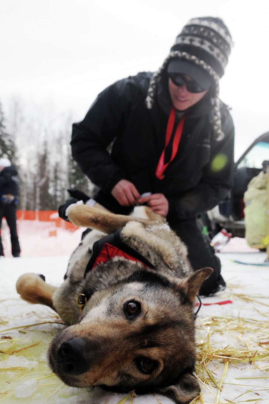 Animal abuse is beyond excuse