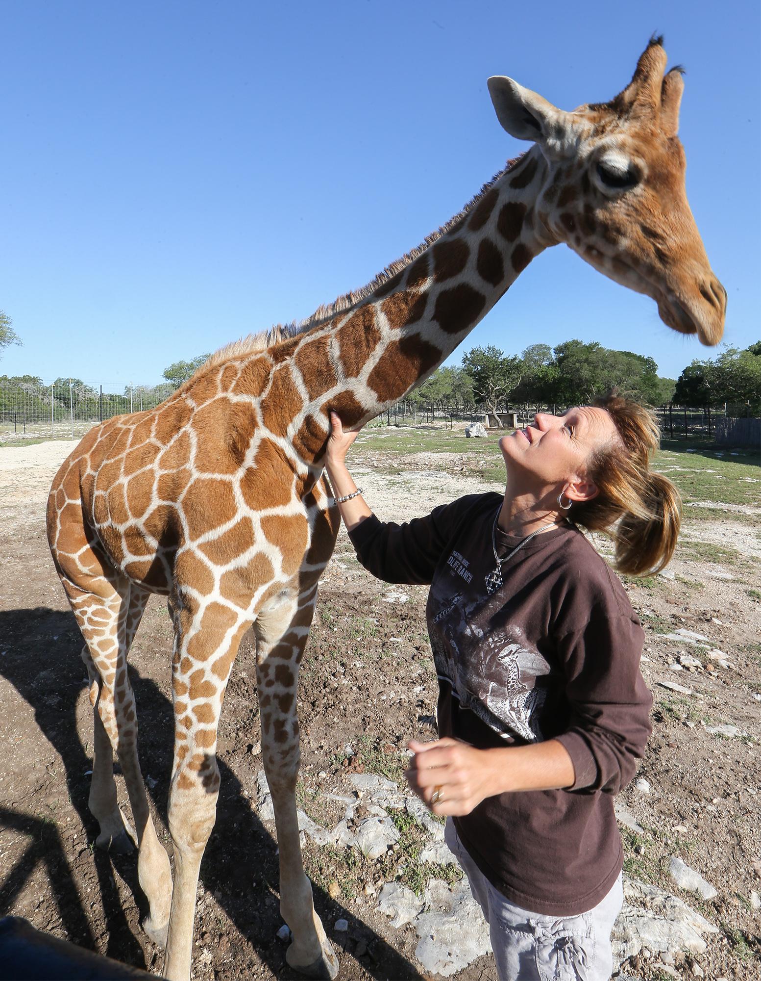 Nonprofit raising funds to save giraffes