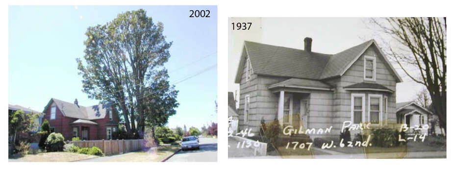 Seattle’s most breathtaking heirloom trees - seattlepi.com