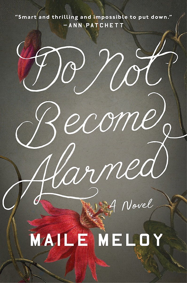 ‘Do Not Become Alarmed,’ by Maile Meloy