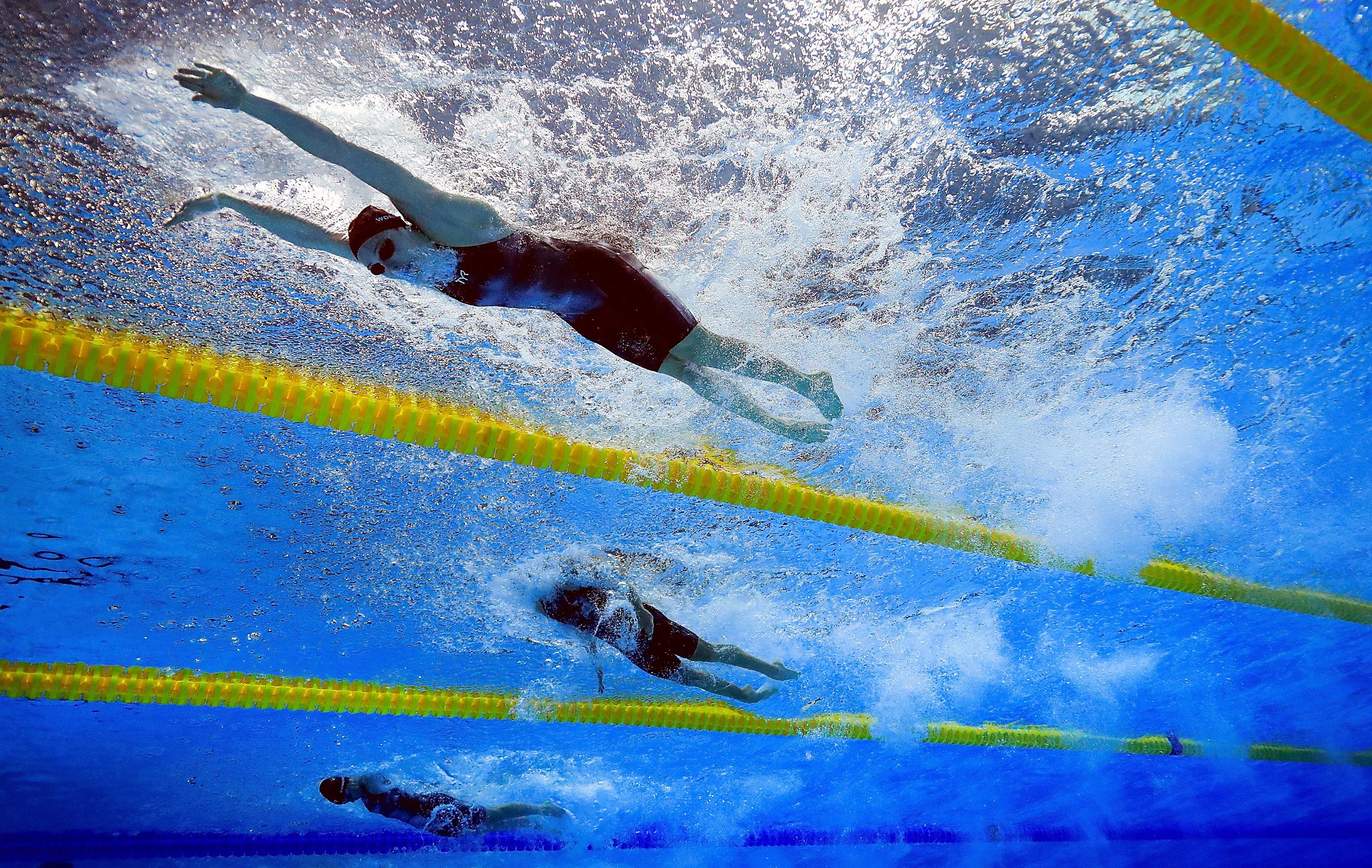 American swimmers look like world-beaters