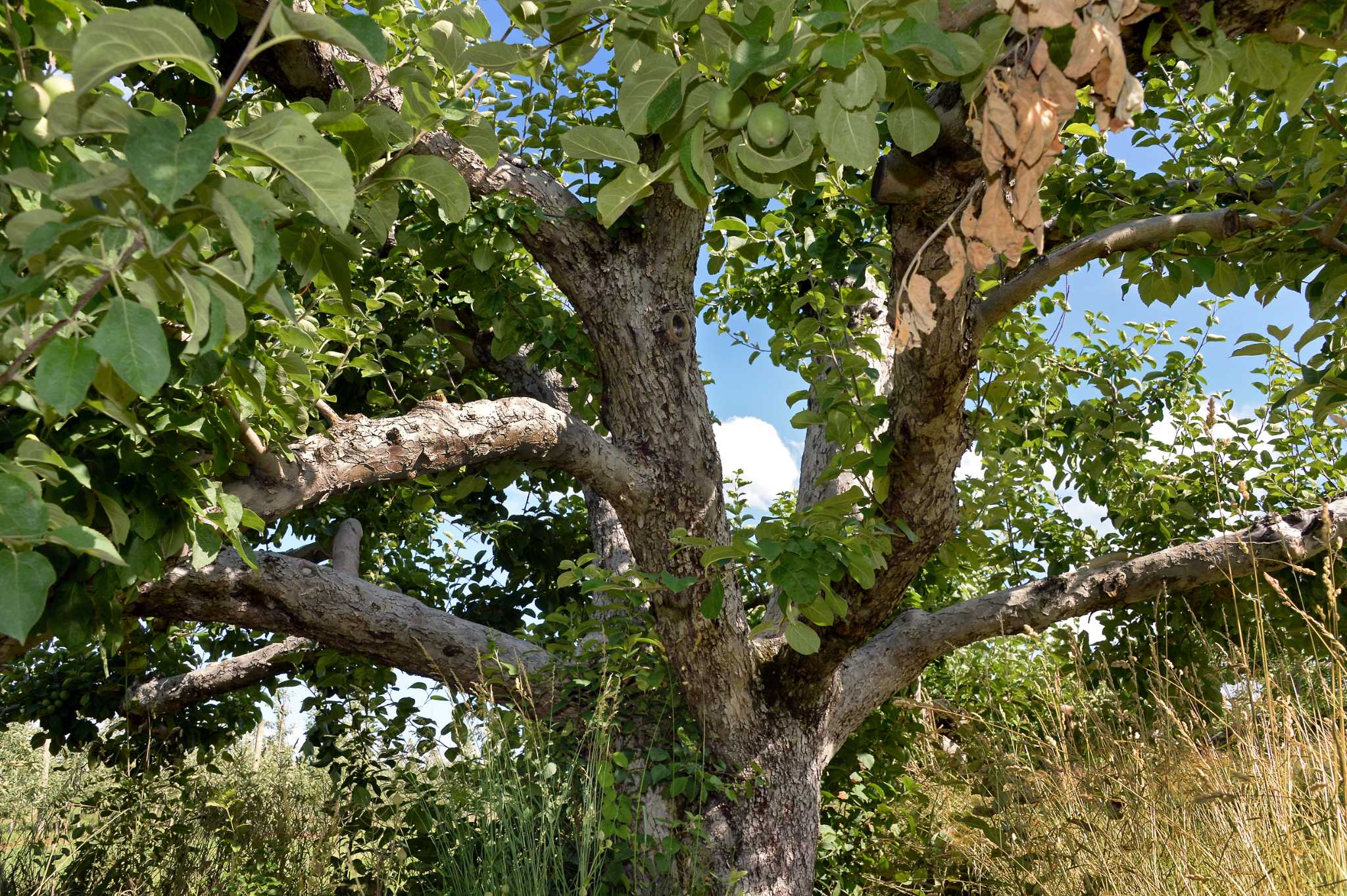 Churchill: When an old friend just disappears