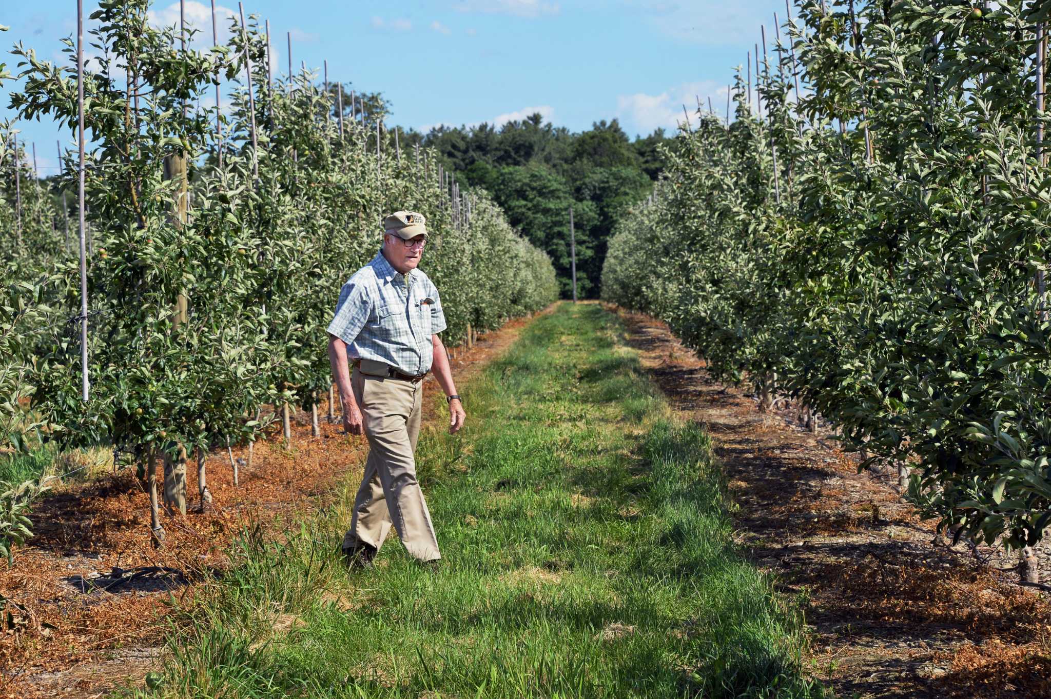How roots and technology are transforming New York orchards