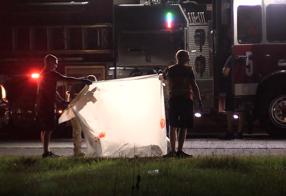 Texas City Commissioner Dee Ann Haney indicted in car crash that killed 2