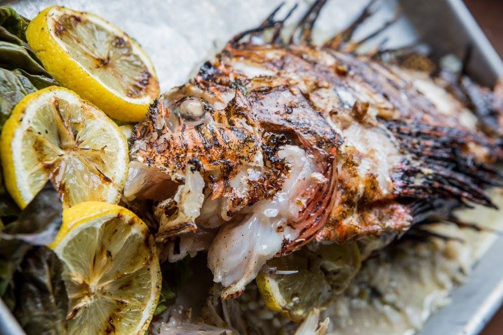 Central Texas restaurant transforms venomous 'gnarly' fish into a hit