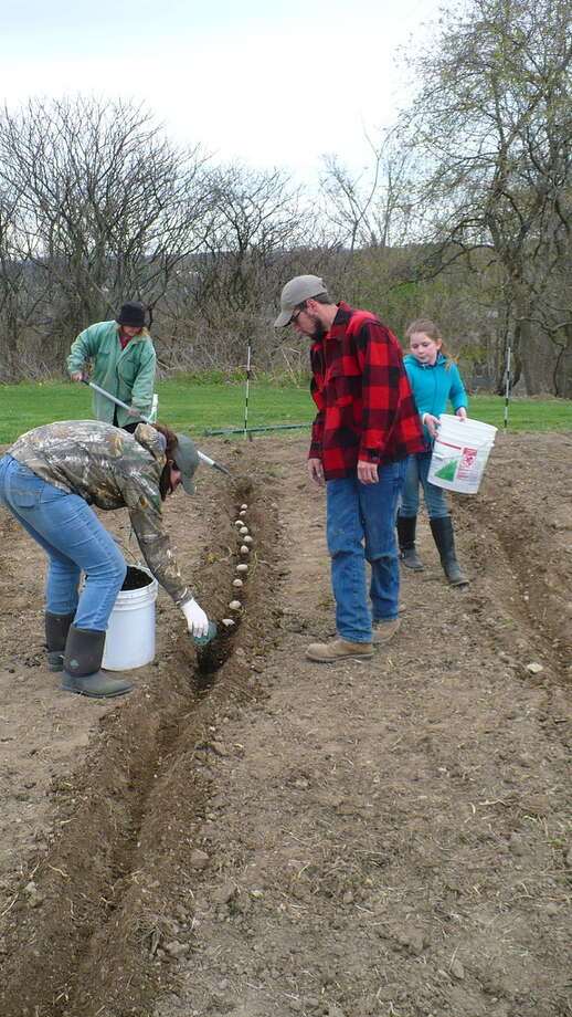 Farm is haven for women fleeing addiction, violence - Times Union