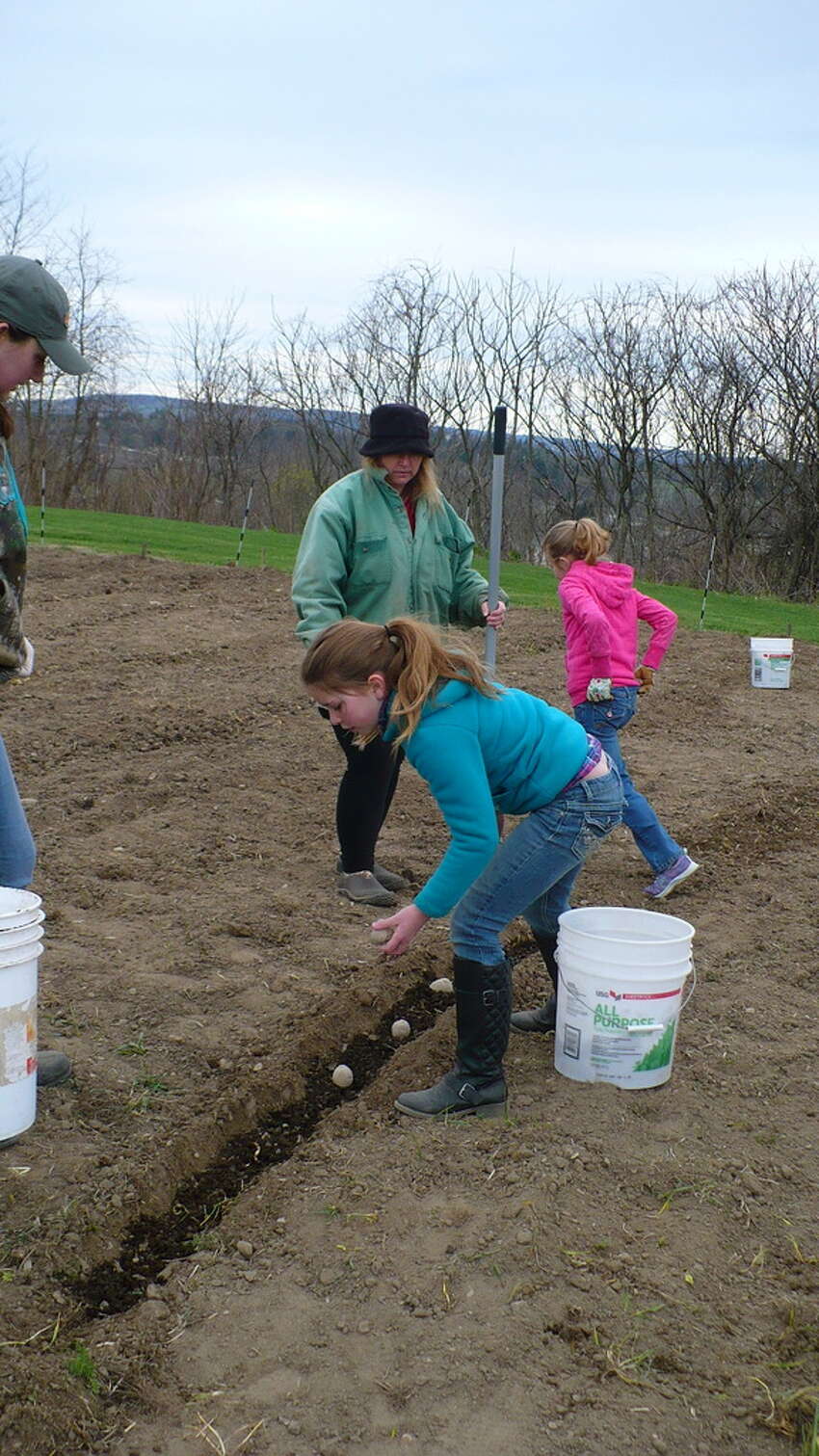 Farm is haven for women fleeing addiction, violence