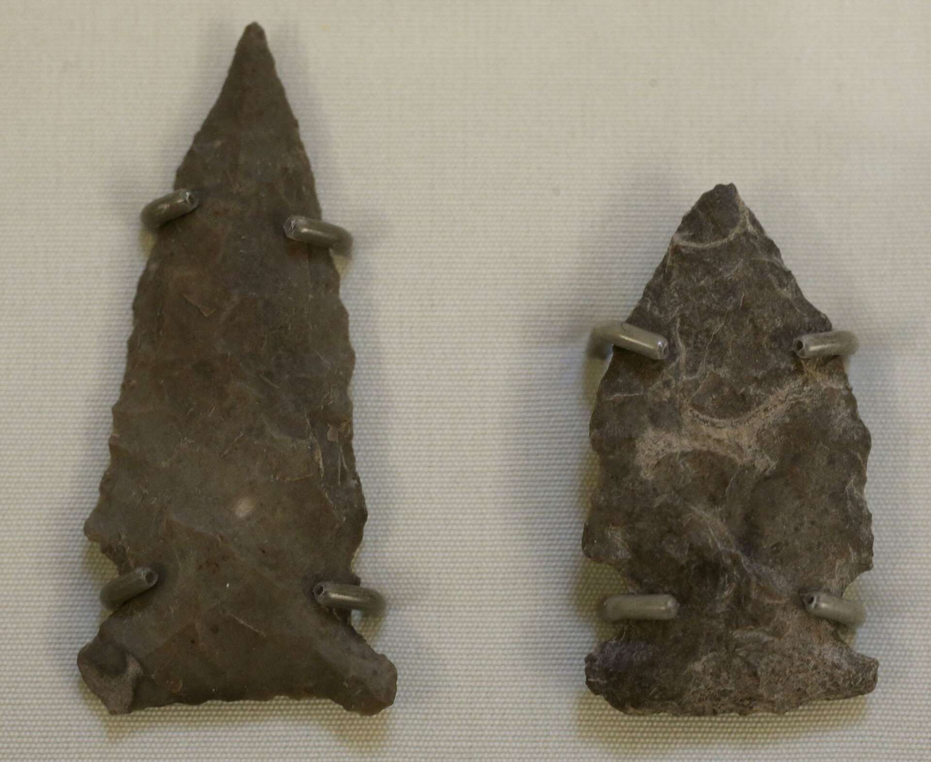 Arrowheads and spear points trace the history of San Antonio