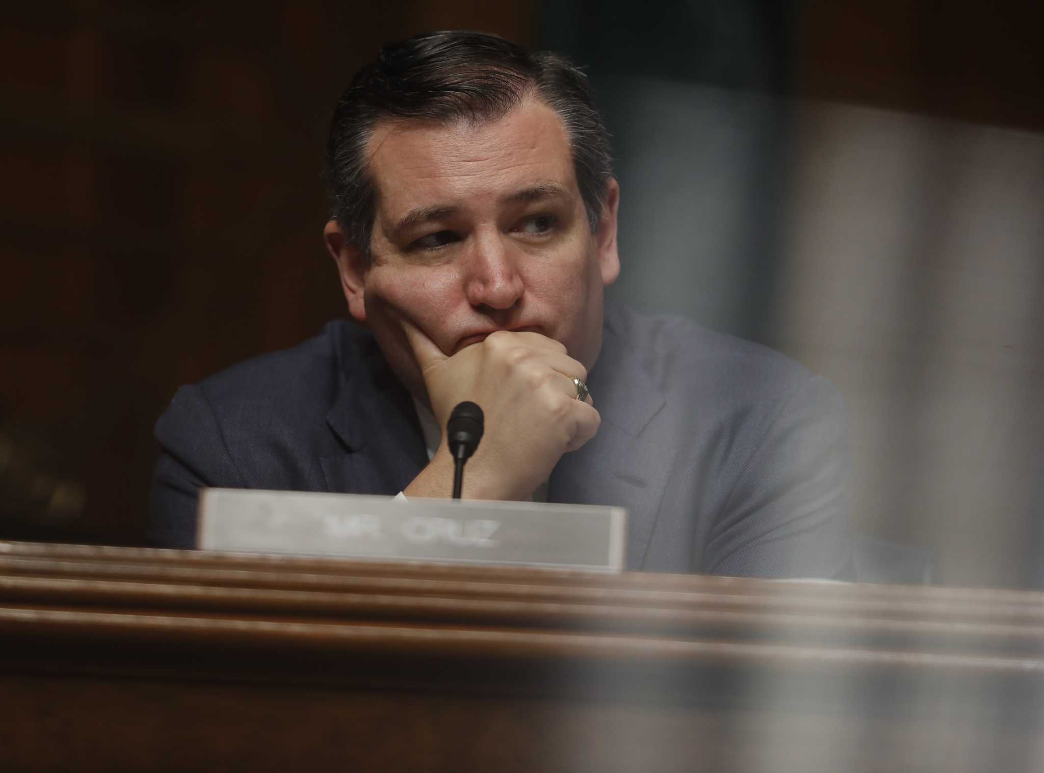 Ted Cruz Gets Second Republican Primary Challenger