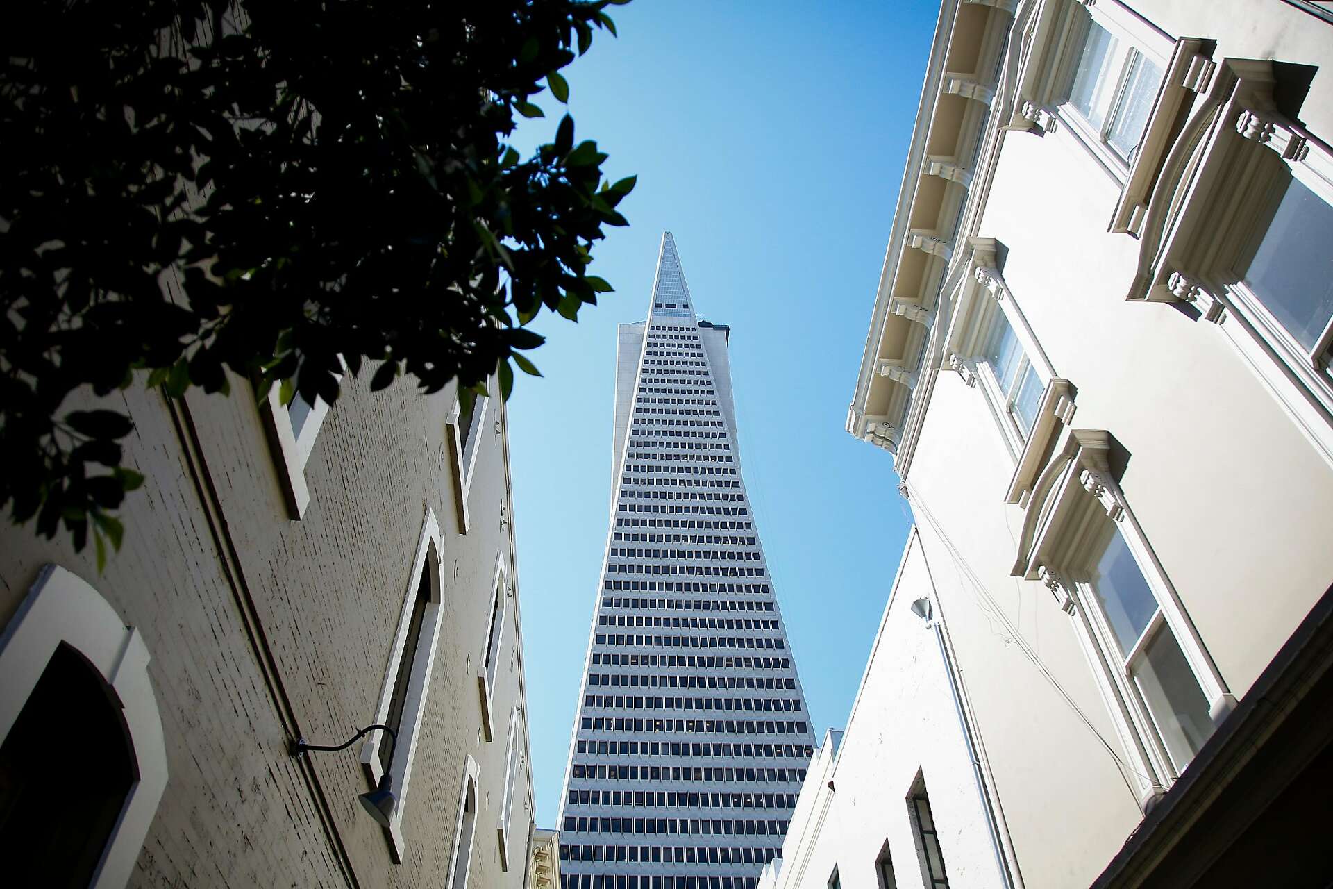 Gold Rush-era Jackson Square becomes hot again with retailers