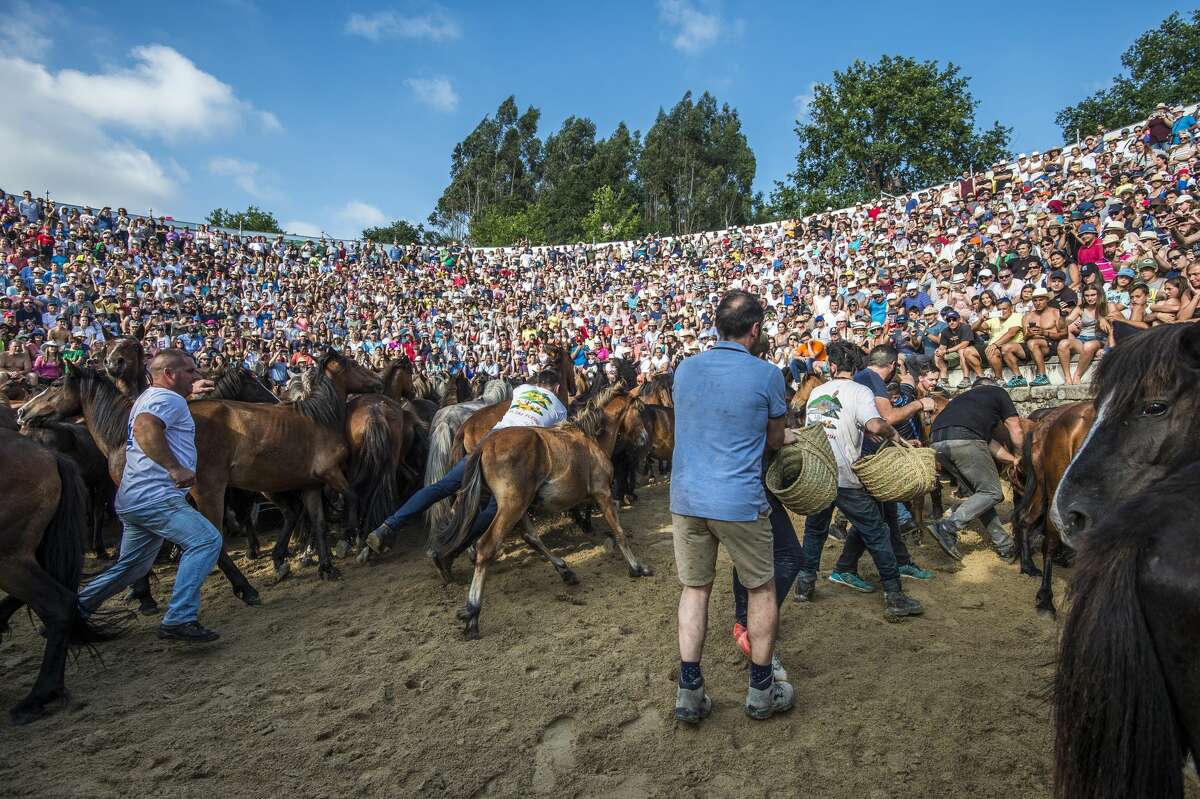 World news photos: Battle over bulls, Syrian leisure moment and more